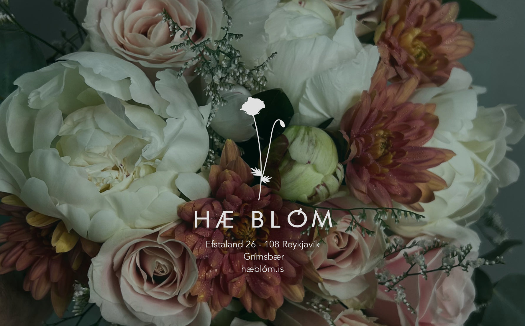 Hæ Blóm!